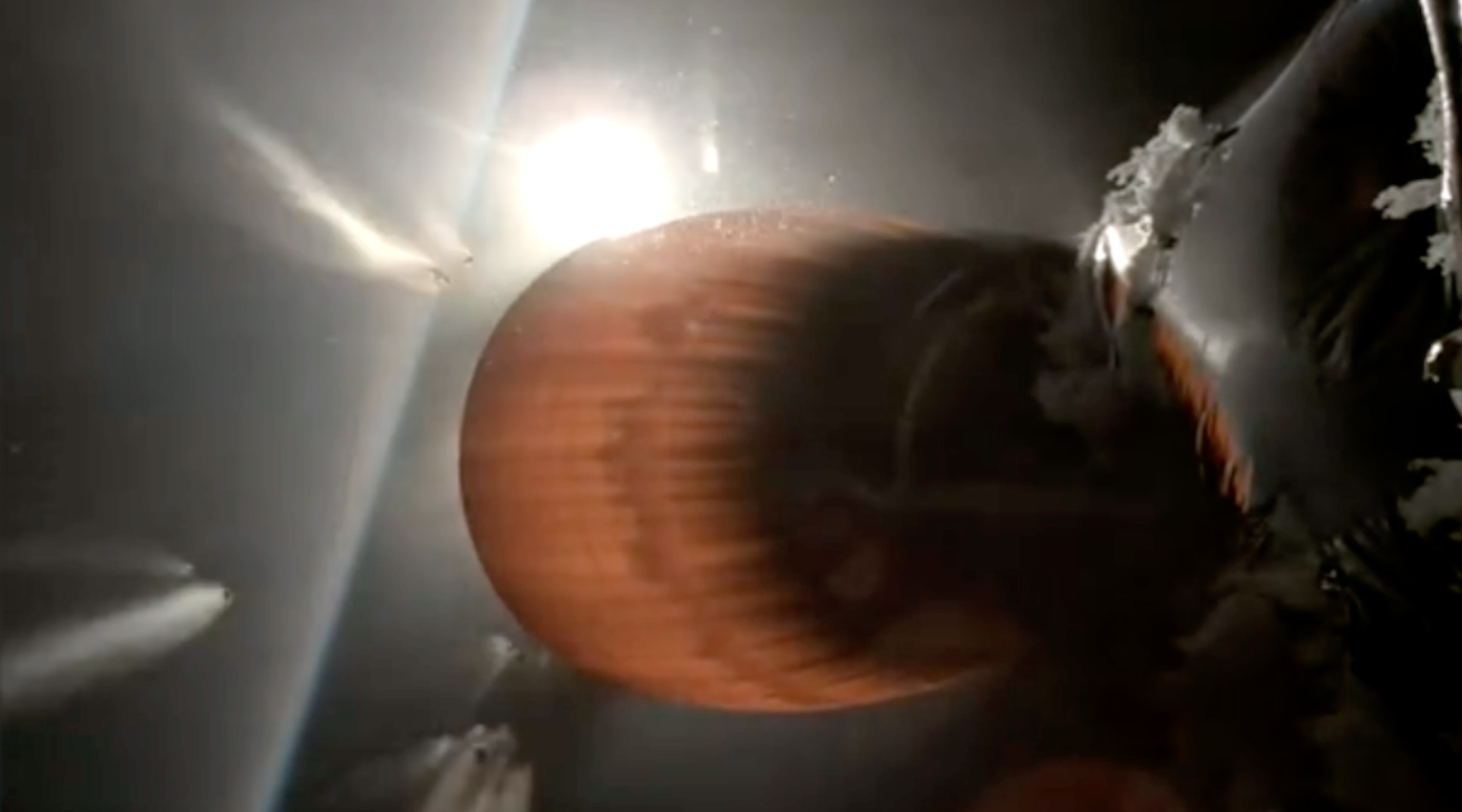 SpaceX Falcon 9 Suffers In Flight Engine Failure, Starlink Payloads ...