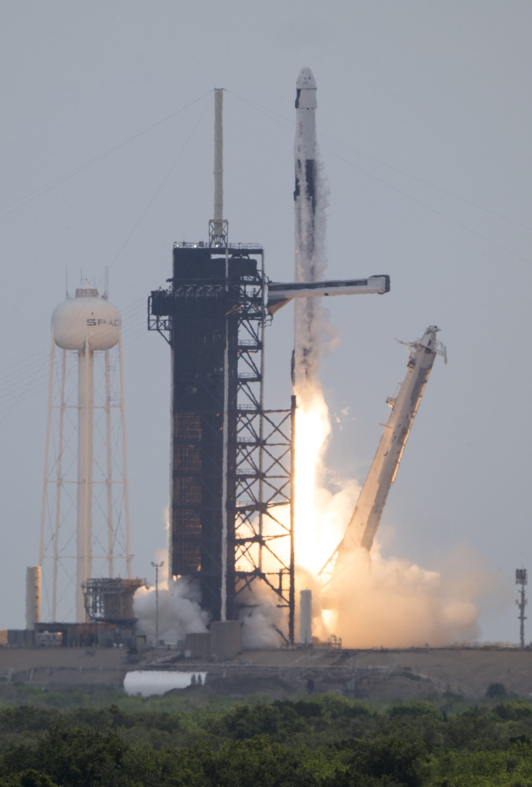 NASA’s SpaceX Crew-11 Launches to International Space Station - Space Launch Schedule