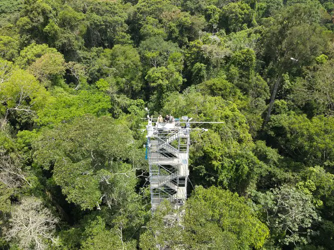 ESA investigates high-stakes Amazon tipping point - Space Launch Schedule