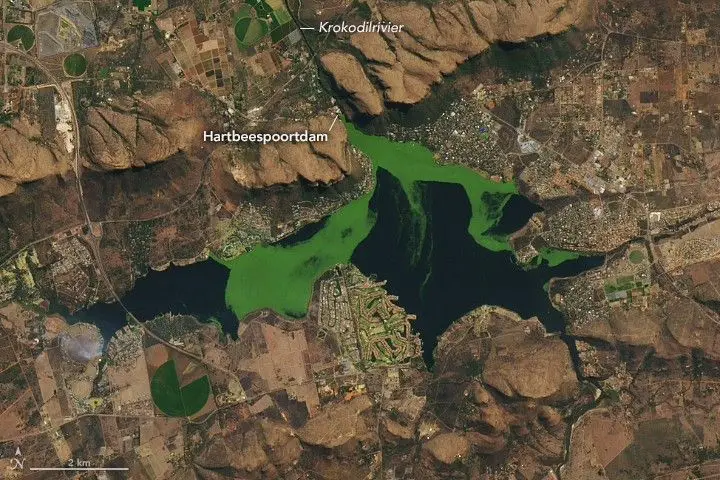 Algae Swirls Across a South African Reservoir - Space Launch Schedule