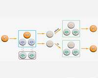 Quantum key method enables redundant storage of qubit data - Space ...